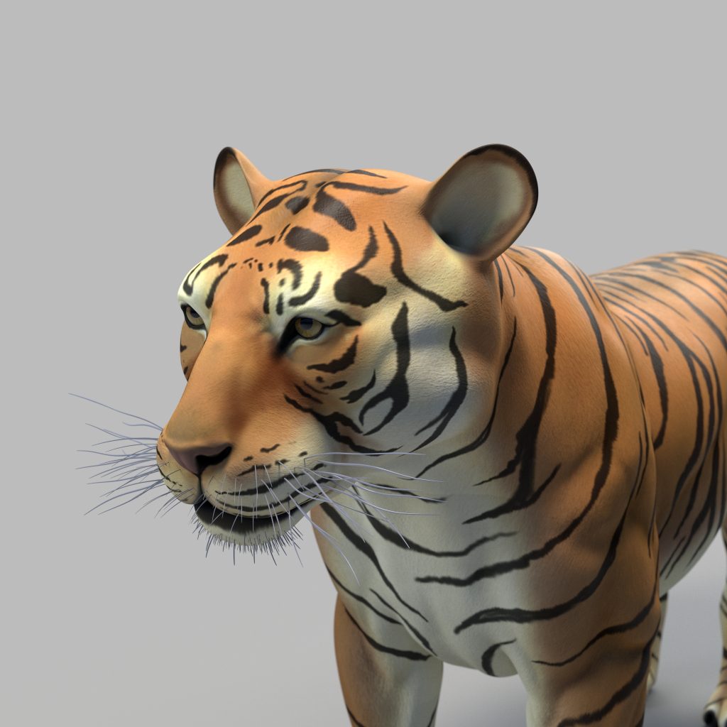 Bengal Tiger Rig - AnimProps