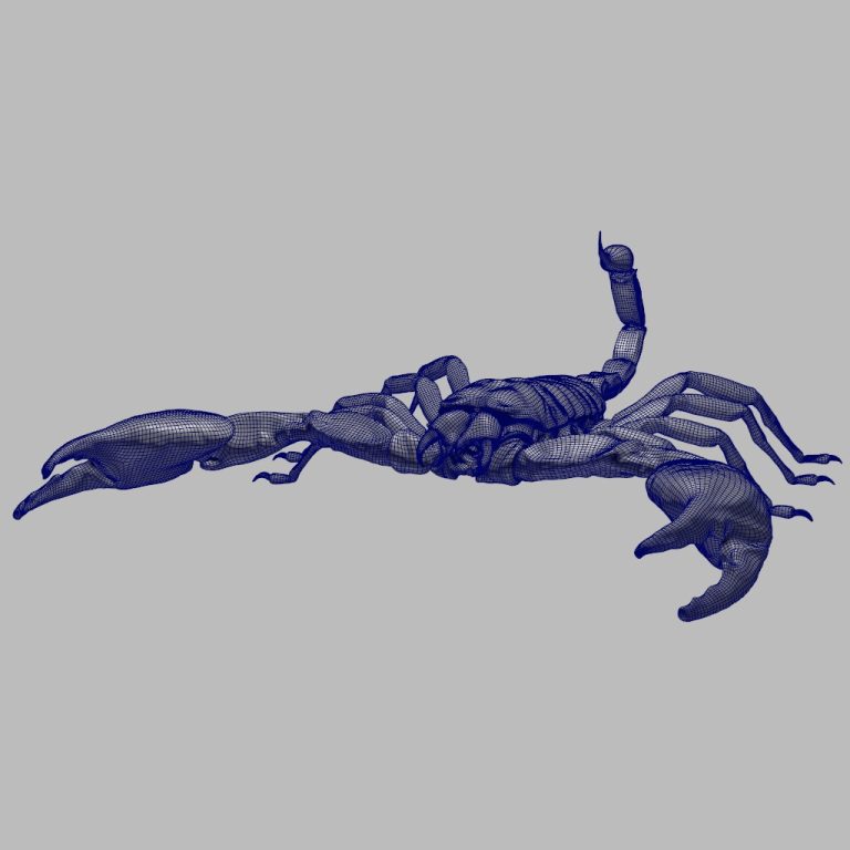 Black scorpion Rig - AnimProps