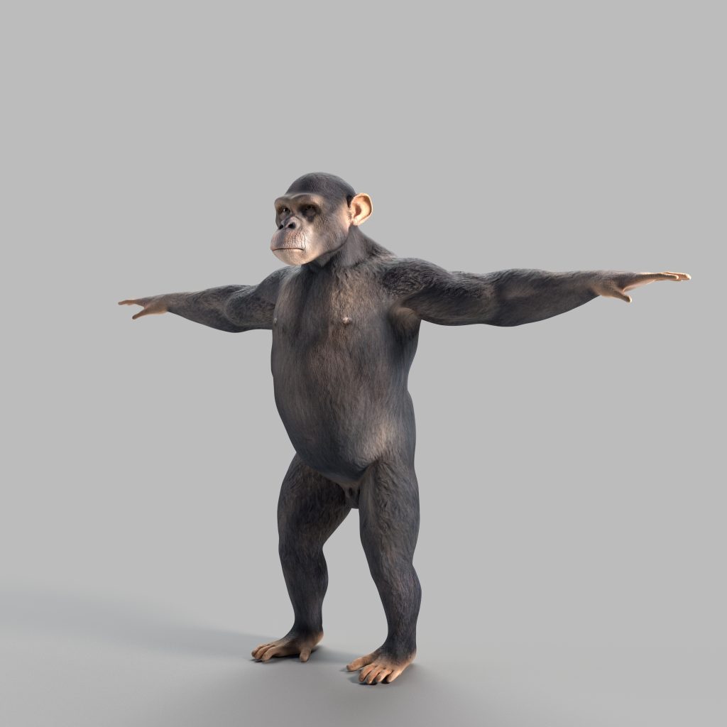 Chimp Rig - AnimProps