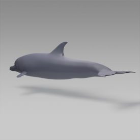 Dolphin Rig - AnimProps
