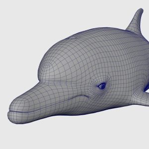 Dolphin Rig - AnimProps