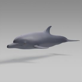 Dolphin Rig - AnimProps