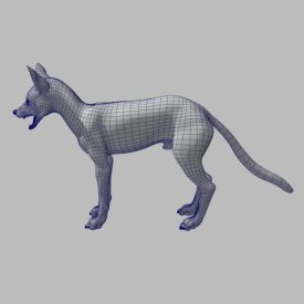 Fox Rig - AnimProps