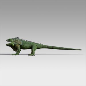 Iguana Rig - AnimProps
