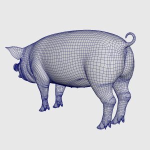 Pig Rig - AnimProps