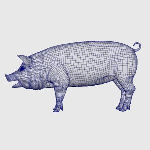 Pig Rig - AnimProps