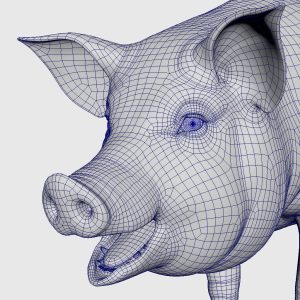 Pig Rig - AnimProps