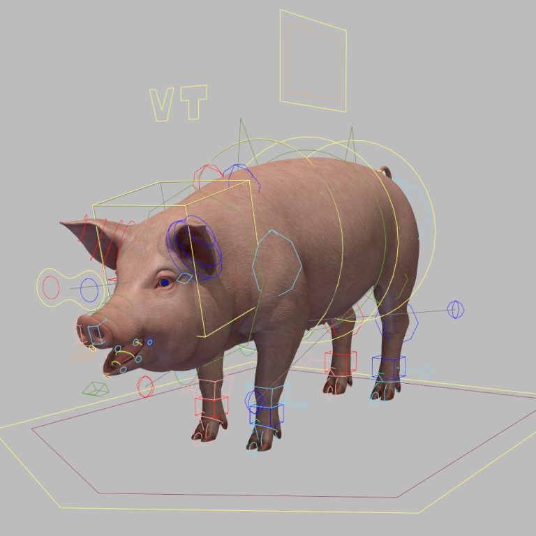 Pig Rig - AnimProps