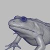Pool frog Rig - AnimProps