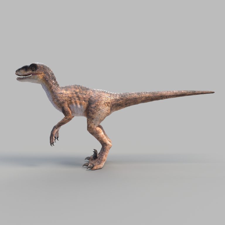 Raptor Rig - AnimProps