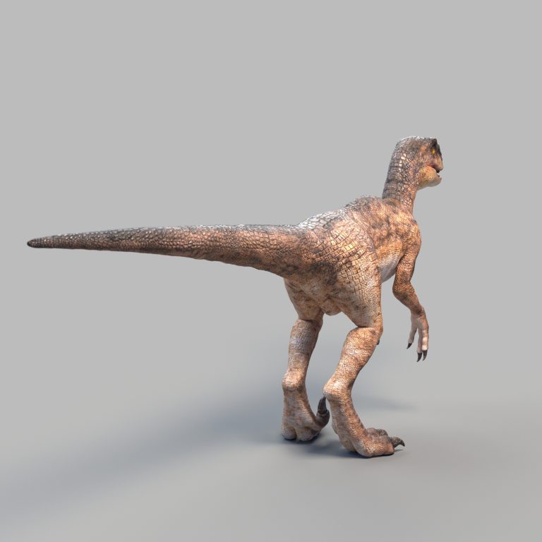 Raptor Rig - AnimProps