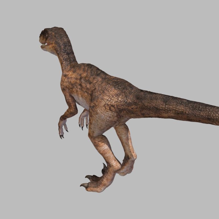 Raptor Rig - AnimProps