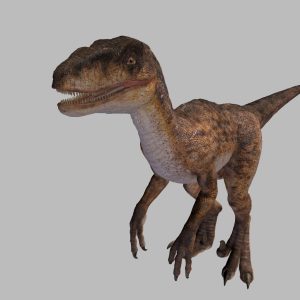 Raptor Rig - AnimProps