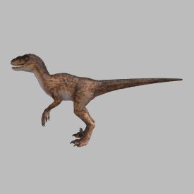 Raptor Rig - AnimProps