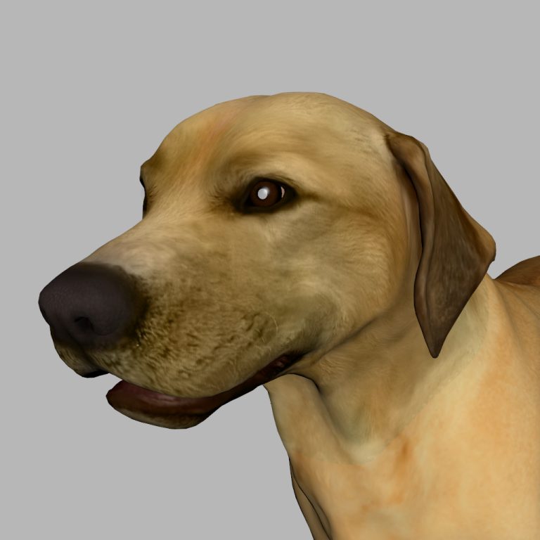 Rhodesian ridgeback Rig - AnimProps