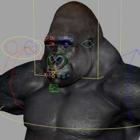 Silverback gorilla Rig - AnimProps