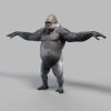 Silverback gorilla Rig - AnimProps
