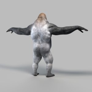 Silverback gorilla Rig - AnimProps