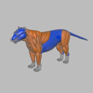Bengal Tiger Rig - AnimProps