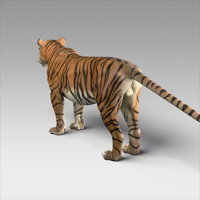 Bengal Tiger Rig - AnimProps