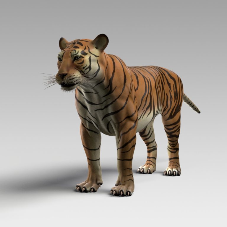 Bengal Tiger Rig - AnimProps