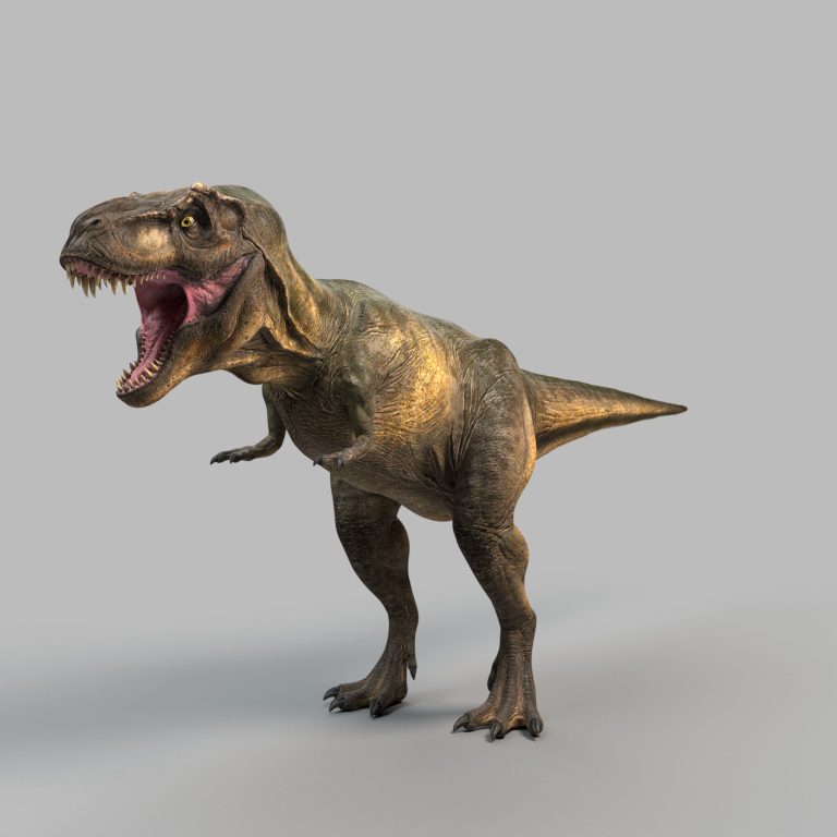 T-rex Rig - AnimProps