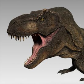 T-rex Rig - AnimProps