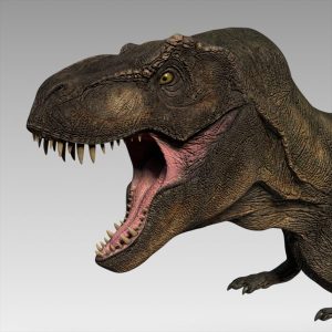 T-rex Rig - AnimProps