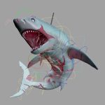 Zombie Shark Rig - AnimProps