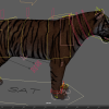 Tiger Rig - AnimProps