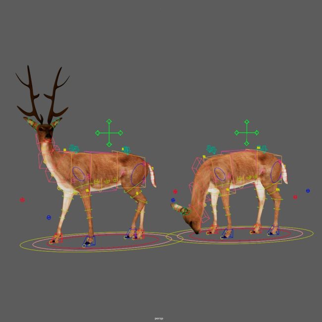 2D & 3D Rigs - AnimProps