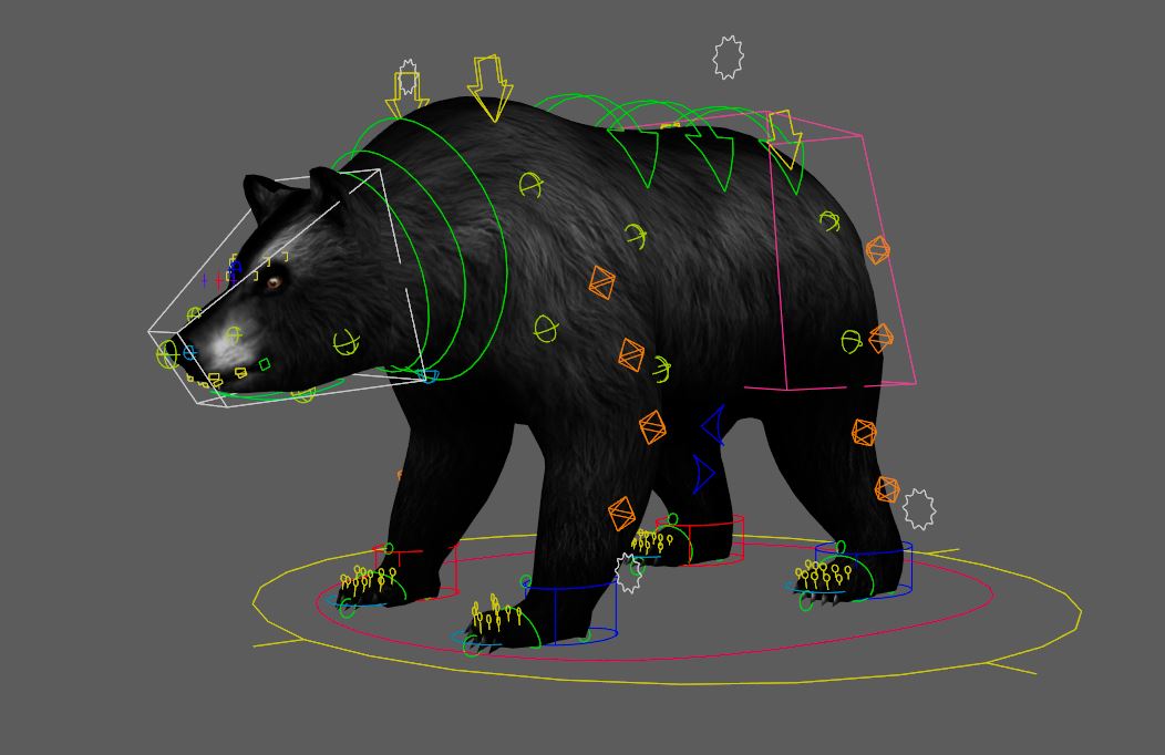 Bear rig - AnimProps