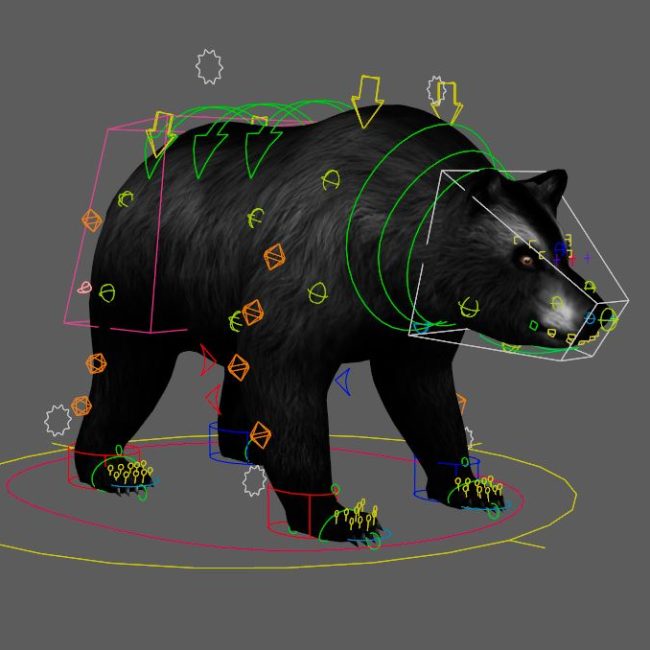Bear rig - AnimProps