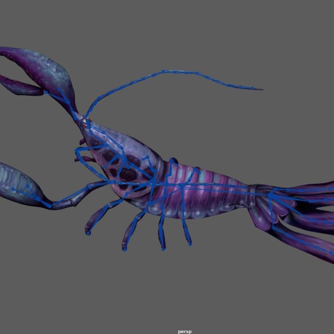 Prawn character with FBX export rig (UE5) - AnimProps