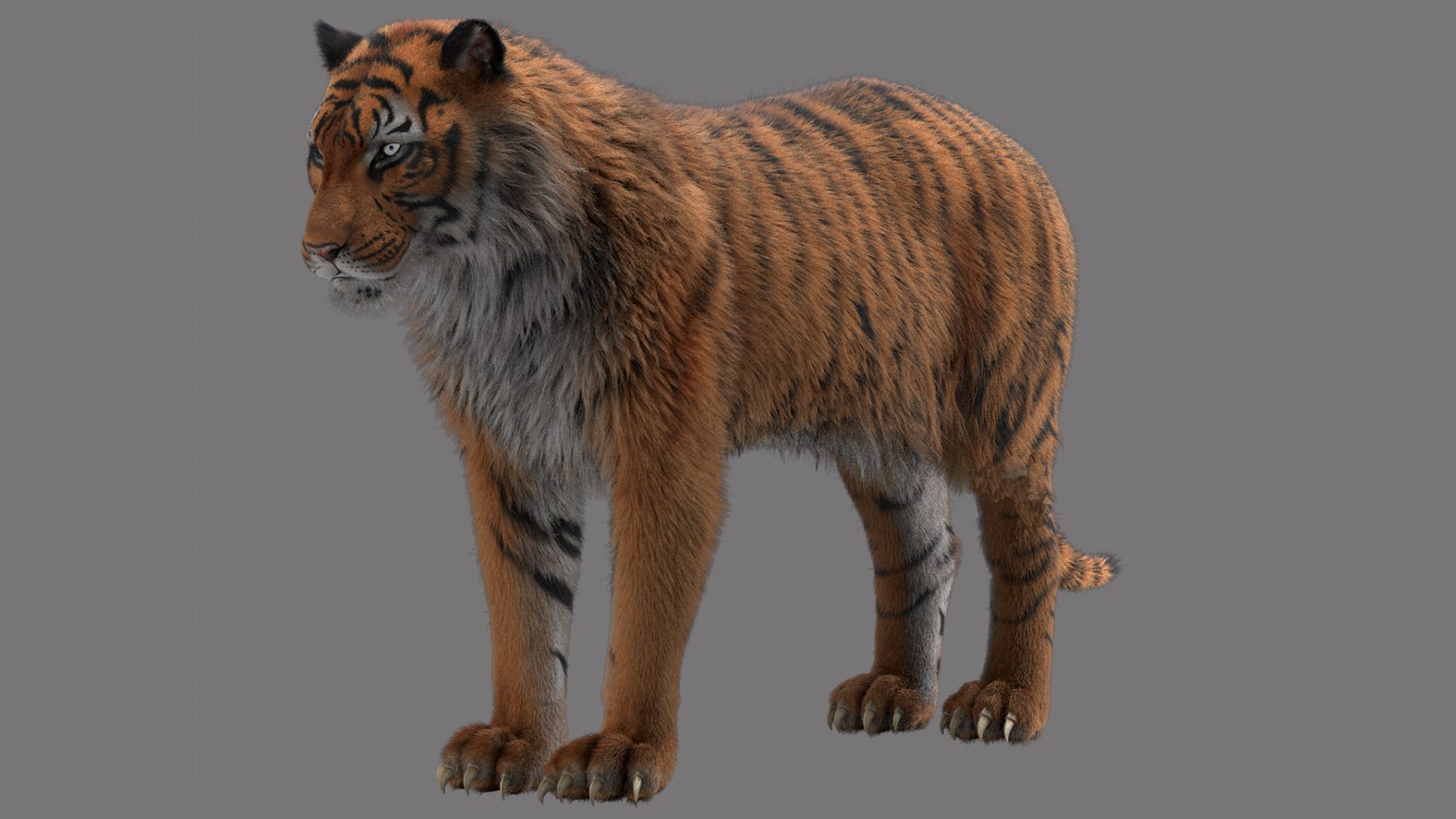 Tiger - AnimProps