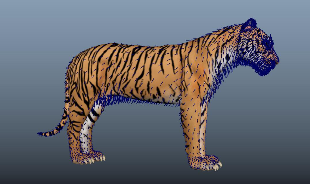 Tiger - AnimProps