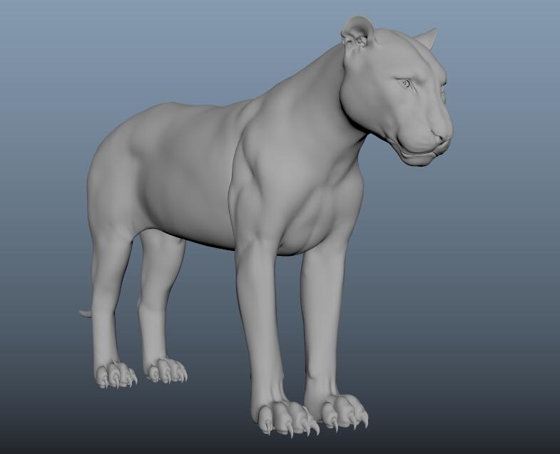 Tiger - AnimProps