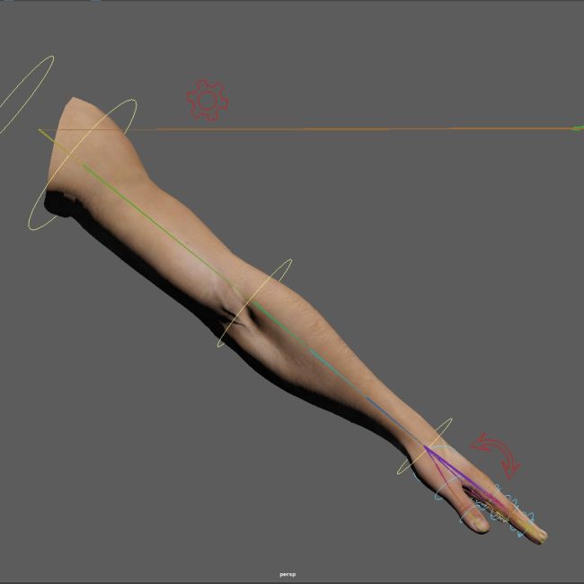 3D Rigs Archives - AnimProps