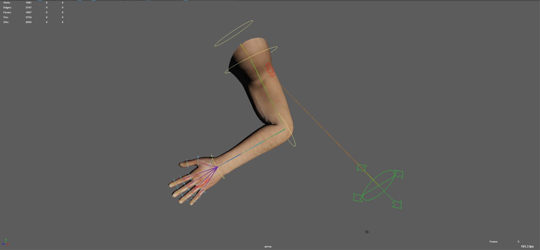 Realistic Arm Rig - AnimProps