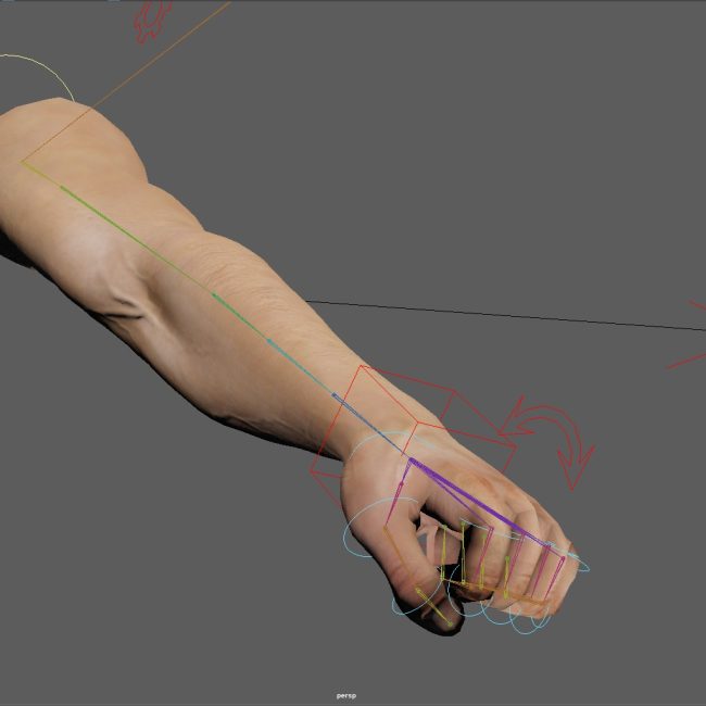 Realistic Arm Rig - AnimProps