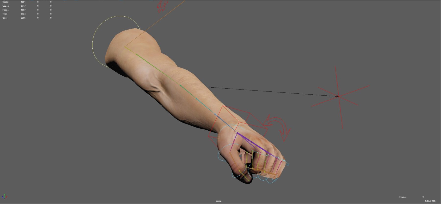 Realistic Arm Rig - AnimProps