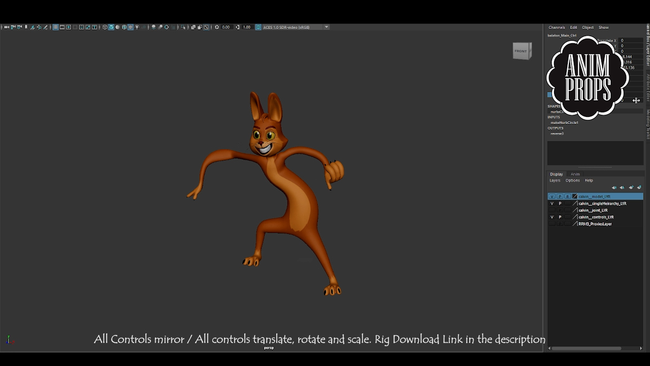 Balaton Rig - AnimProps