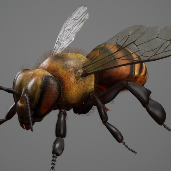 2D & 3D Rigs - AnimProps